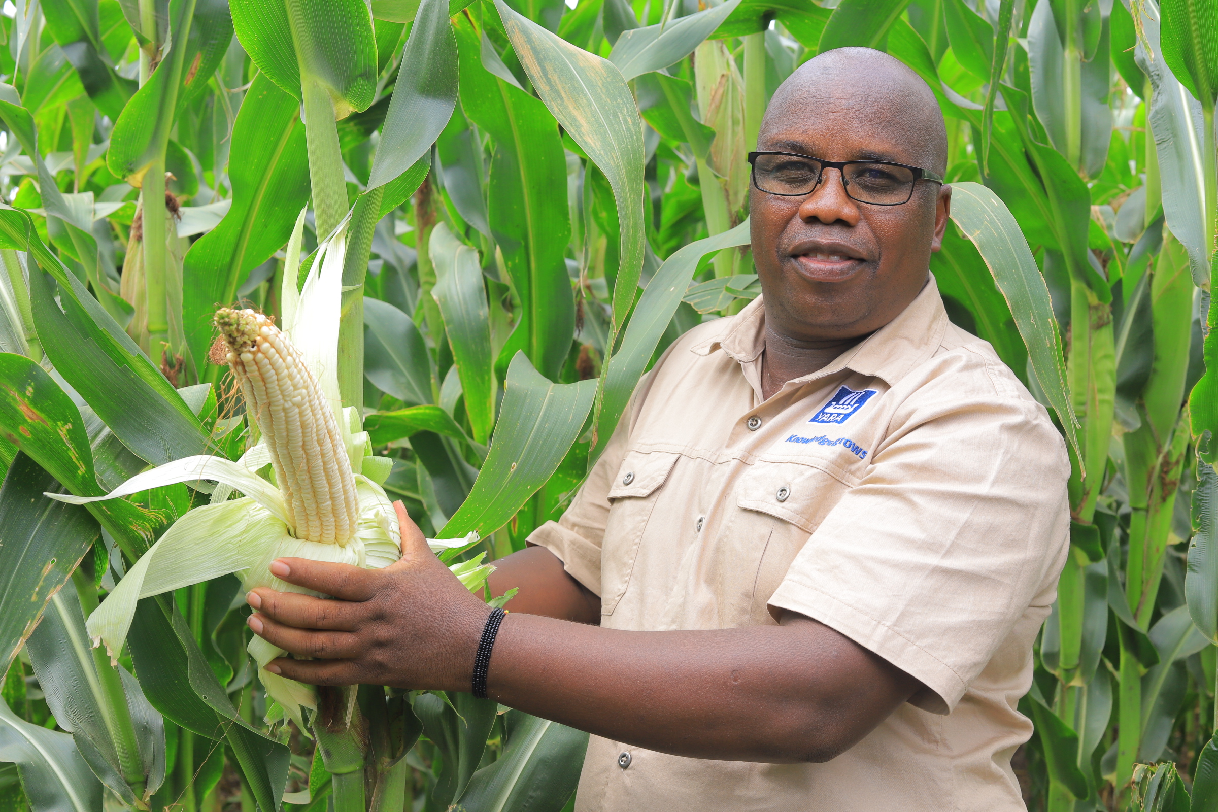 Unlocking Uganda’s Agricultural Potential: A Targeted Approach to Women ...